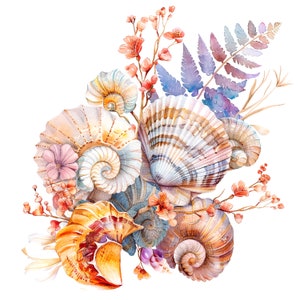 10 Floral Seashells Clipart, Sea Shells Clipart, Printable Watercolor ...
