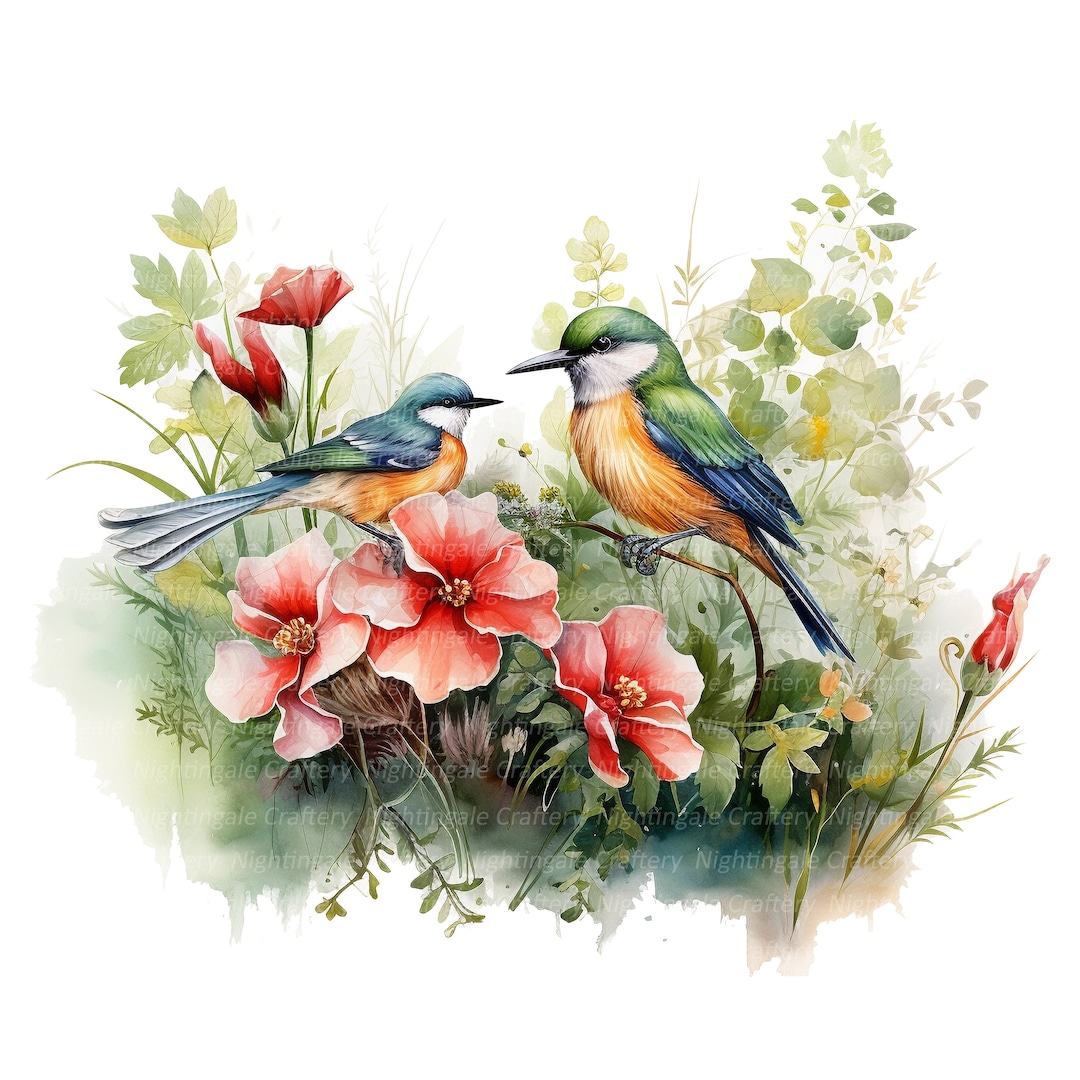 10 Floral Birds in Garden Clipart, Printable Watercolor Clipart, High ...