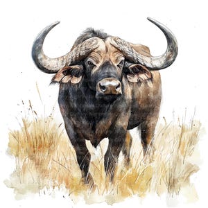 10 African Buffalo Clipart, Safari Buffalo, Printable Watercolor ...
