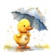 10 Duckling in Rain Clipart, Duckling Rainy, Printable Watercolor ...