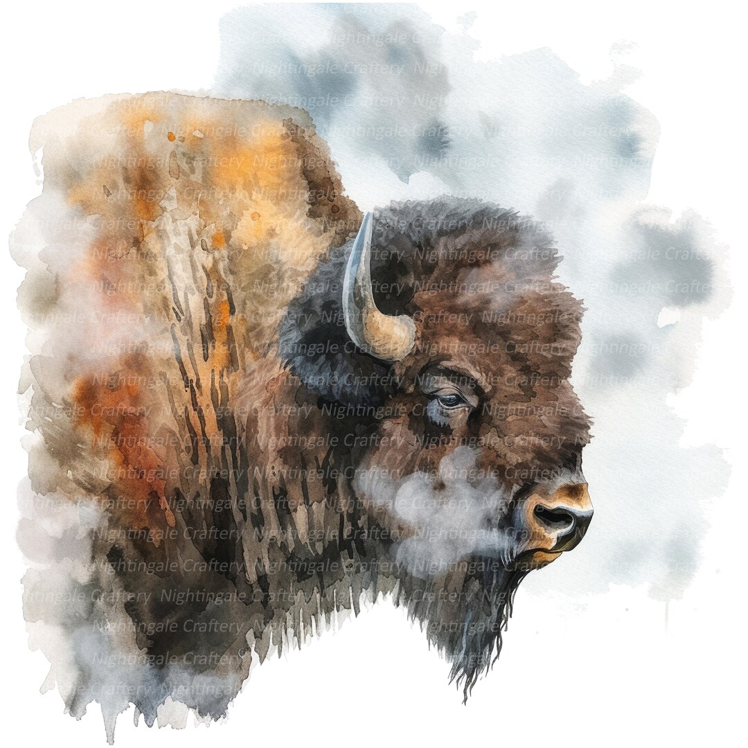 9 Bison Clipart, Buffalo Clipart, Bison Sunrise, Printable Watercolor ...