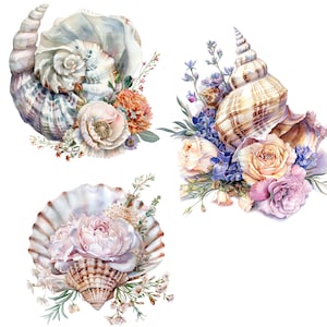14 Floral Sea Shells Clipart, Seashell Clipart, Printable Watercolor ...