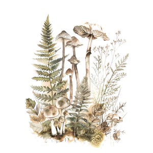 10 Botanical Ferns Clipart, Fern Moss Decor, Printable Watercolor ...