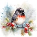 12 Special Christmas Robin Clipart, Printable Watercolor Clipart, High ...