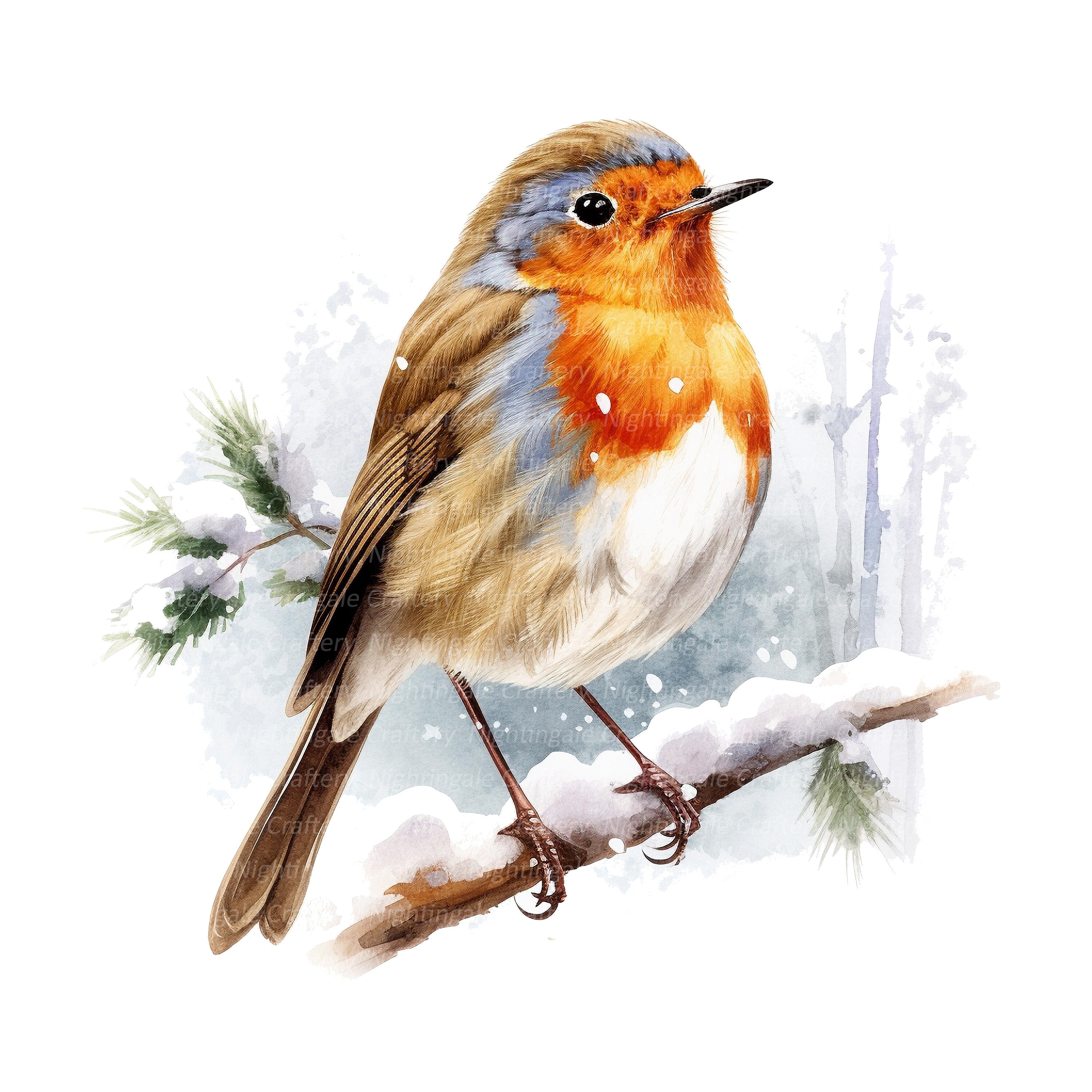 10 Christmas Robin Clipart Printable Watercolor Clipart High - Etsy UK
