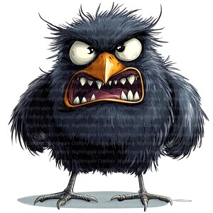 12 PNG Mean Birds Clipart, Funny Bird, Digital Clipart, Watercolor ...