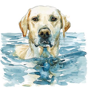 12 Golden Labrador Swimming Clipart, Dog Swim, Printable Watercolor ...