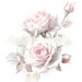 10 White Roses Clipart Set 2, Roses Bouquet, Printable Watercolor ...