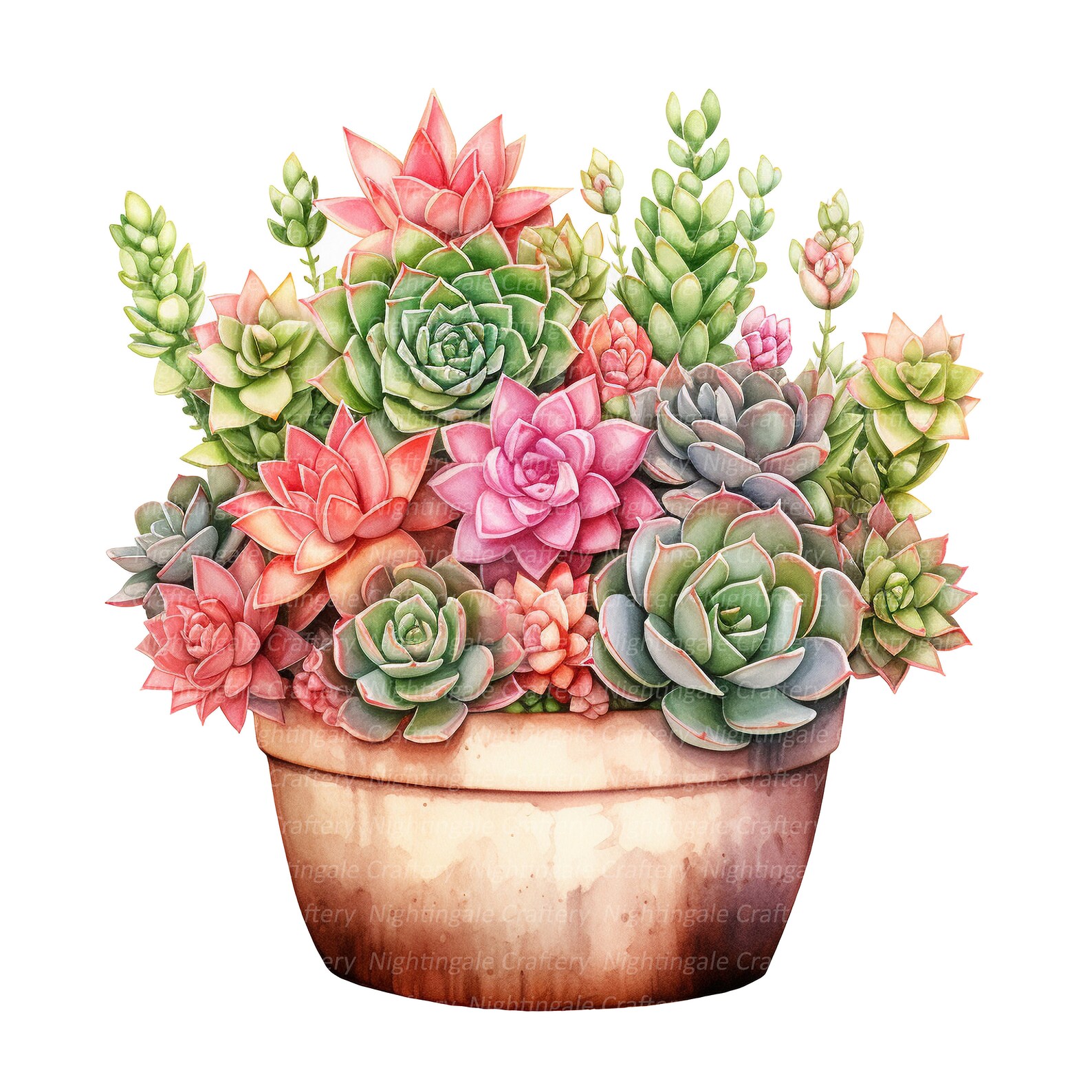 12 Potted Succulents Clipart, Succulent Pot, Printable Watercolor ...