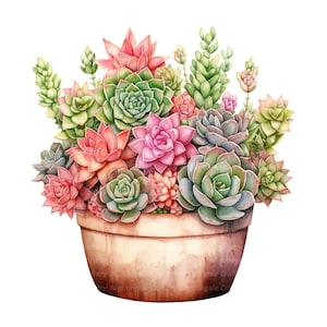 12 Potted Succulents Clipart, Succulent Pot, Printable Watercolor ...