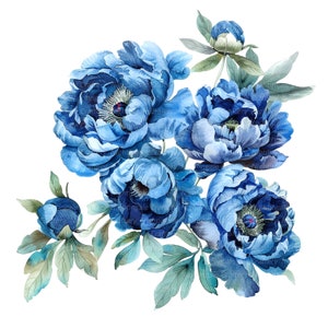 14 Blue Peonies Clipart, Blue Peonies Bouquet, Printable Watercolor ...