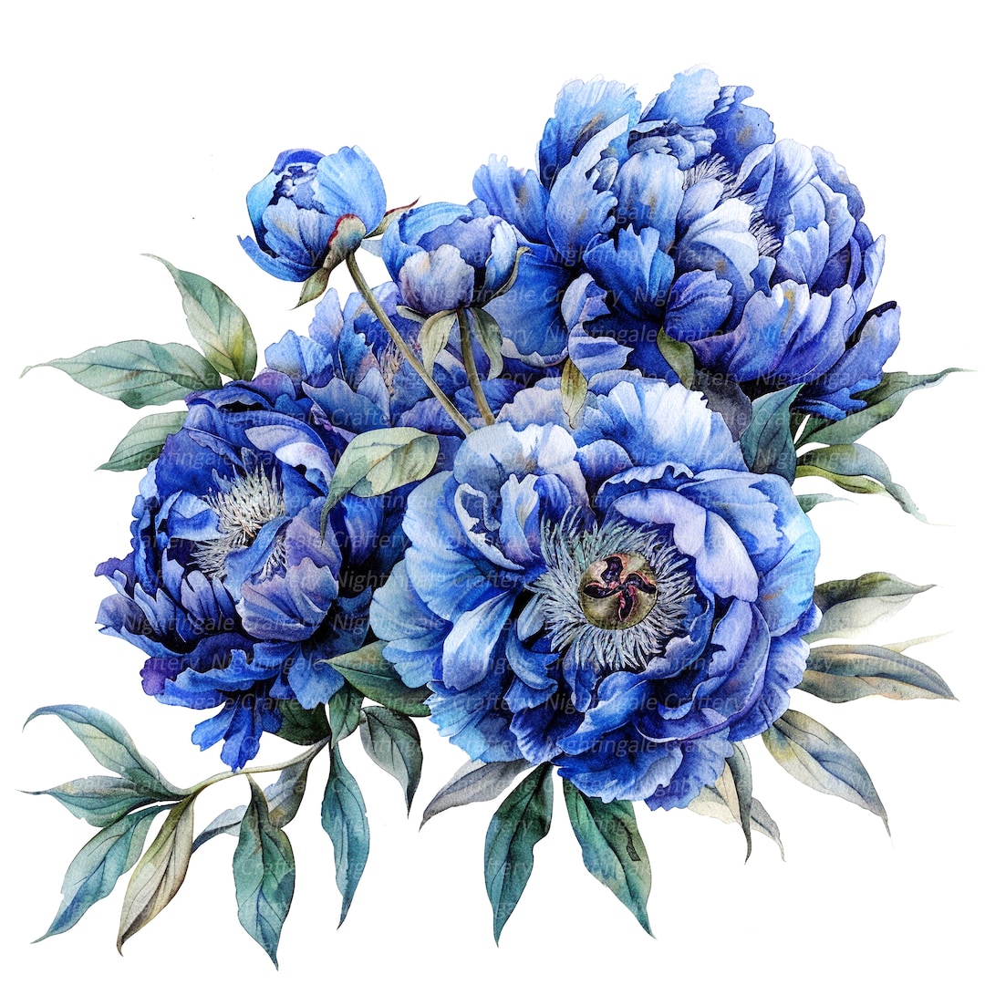 14 Blue Peonies Clipart, Blue Peonies Bouquet, Printable Watercolor ...