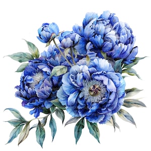 14 Blue Peonies Clipart, Blue Peonies Bouquet, Printable Watercolor ...