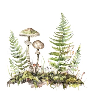 10 Botanical Ferns Clipart, Fern Moss Decor, Printable Watercolor ...