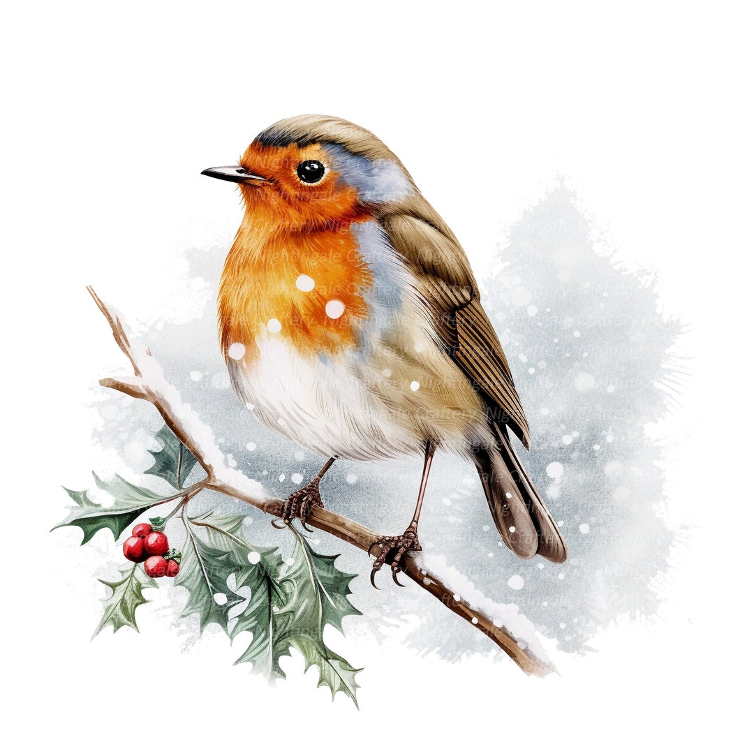 10 Christmas Robin Clipart, Printable Watercolor Clipart, High Quality ...