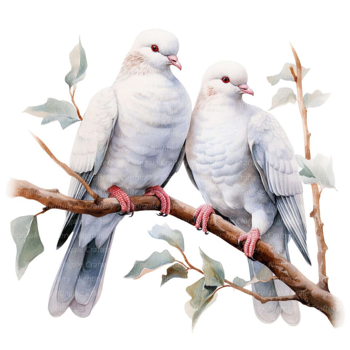 11 White Doves Couple Clipart, Peace Dove, Printable Watercolor Clipart ...