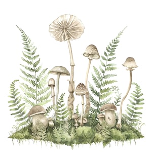 10 Botanical Ferns Clipart, Fern Moss Decor, Printable Watercolor ...