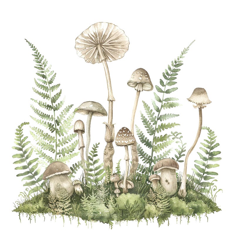 10 Botanical Ferns Clipart, Fern Moss Decor, Printable Watercolor ...