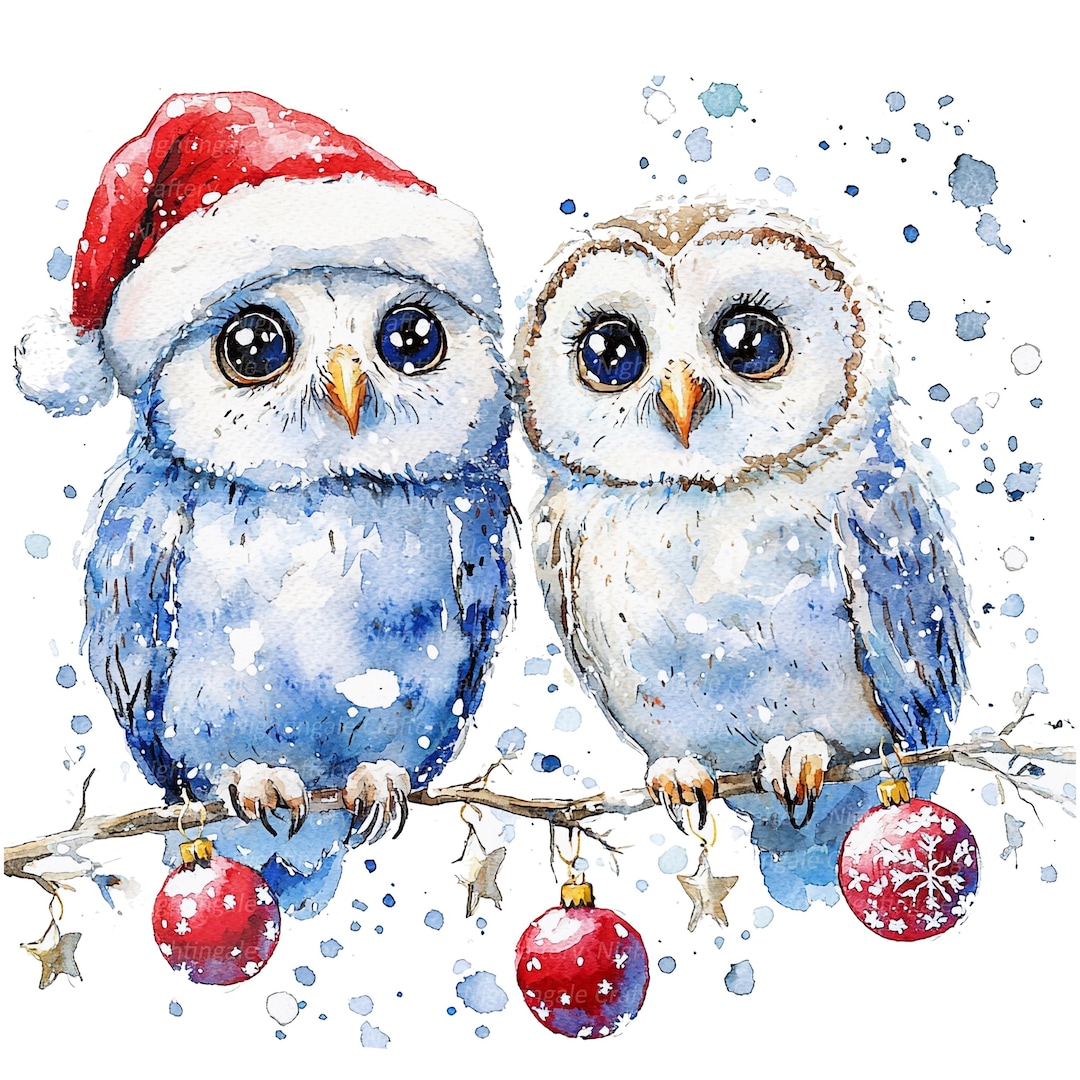 12 Christmas Owls Clipart, Christmas Card, Printable Watercolor Clipart ...