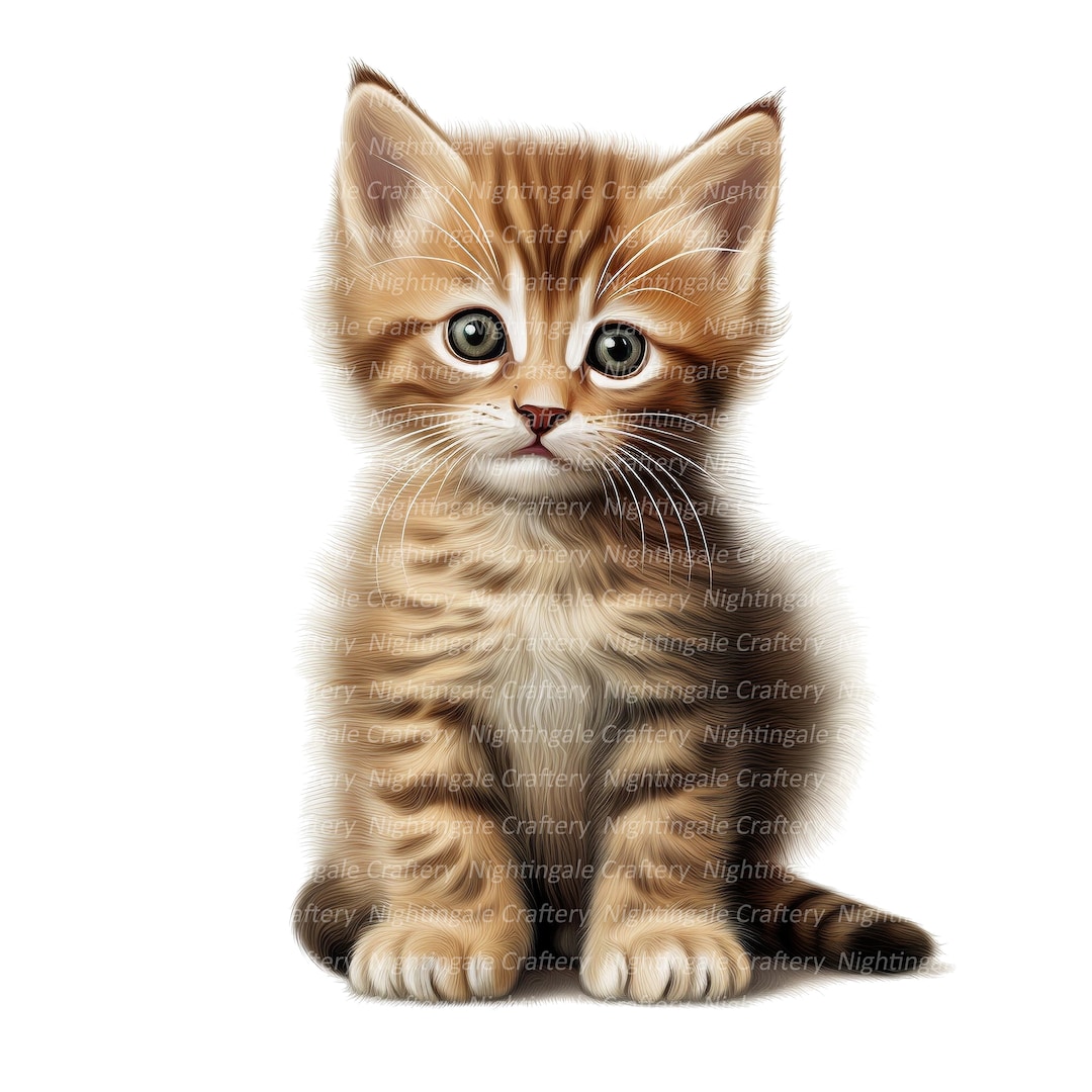 Kitten Clipart, Cat Clipart, Printable Watercolor Clipart, 10 High ...