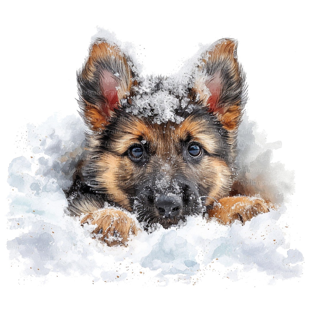 14 Puppy in Hole Clipart, Winter Puppy Peeking, Printable Watercolor ...