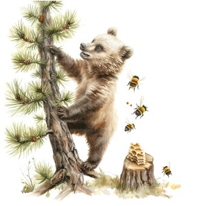 13 Bear and Bees, Bear Honey, Bear Cub Clipart, Printable Watercolor Clipart, High Quality JPG ...