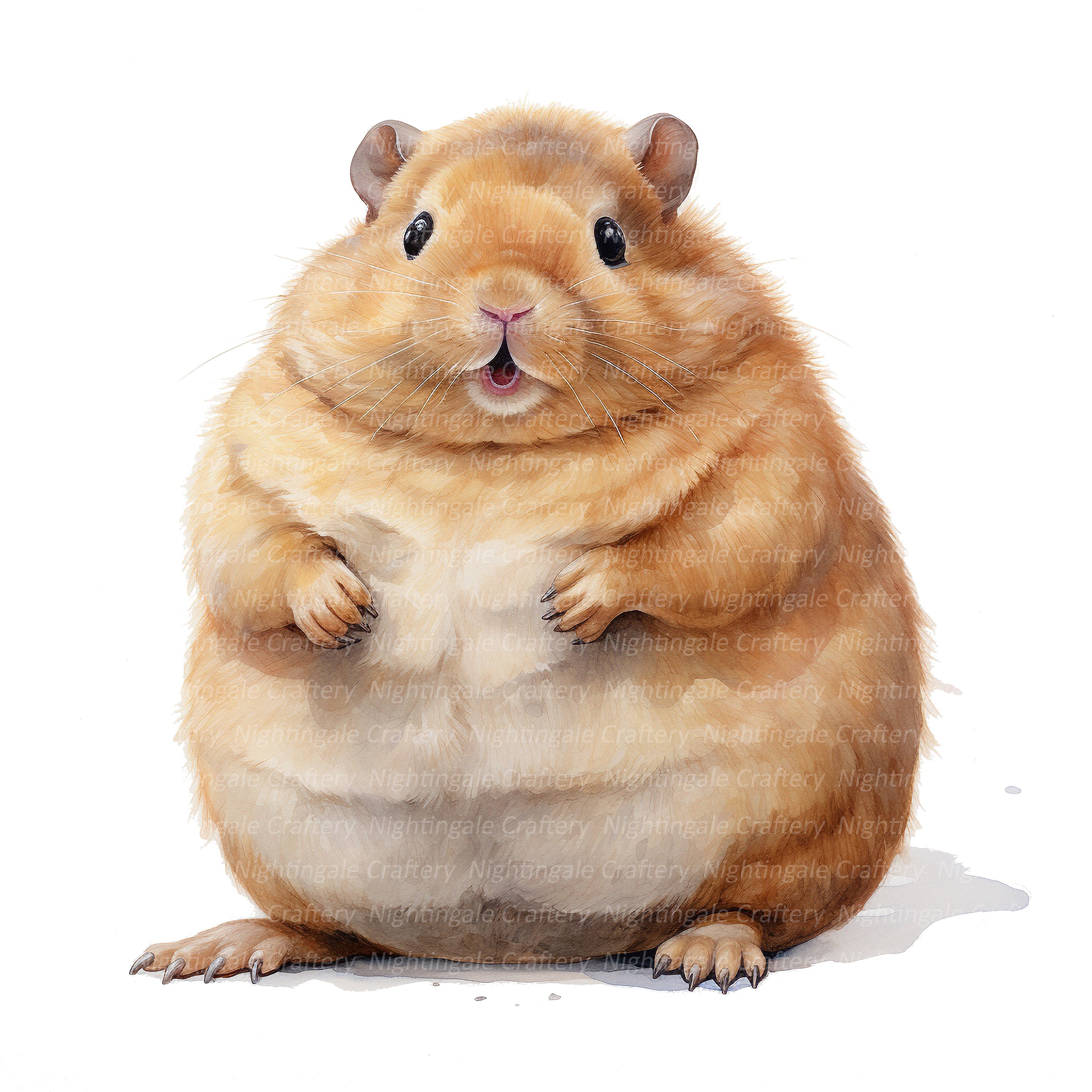 12 Fat Hamster Clipart Printable Watercolor Clipart 10 High - Etsy