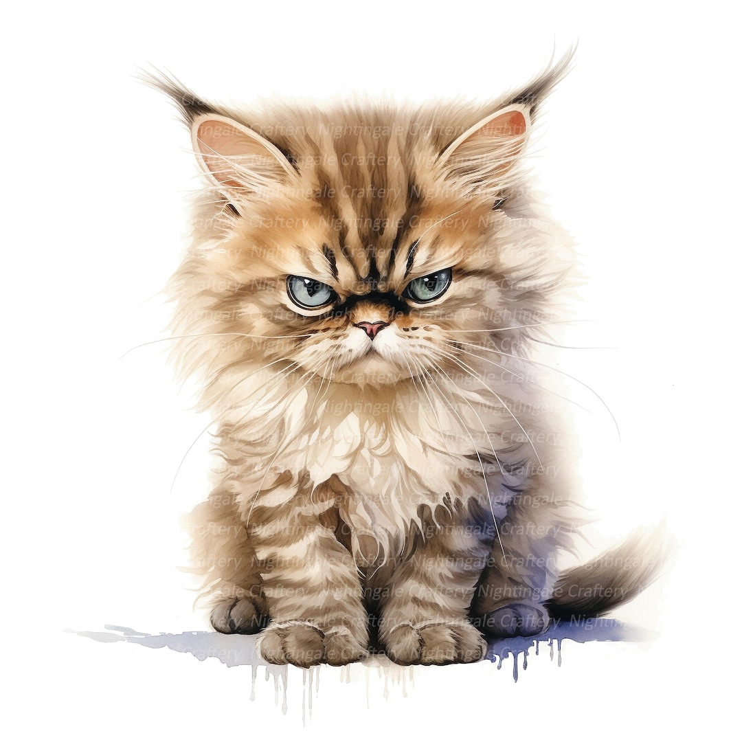 12 Grumpy Sad Kitten Clipart, Cat Clipart, Printable Watercolor Clipart ...