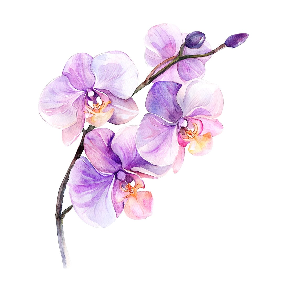 10 Orchid Clipart, Watercolor Orchids Wall Art, Printable Watercolor ...