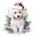 14 Christmas Poodle Clipart, Pudel, Printable Watercolor Clipart, High ...