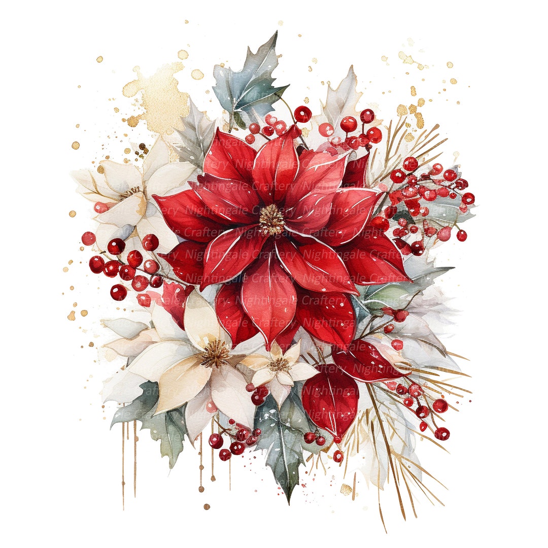 8 Poinsettia Decor Clipart, Christmas Clipart, Digital Clipart ...