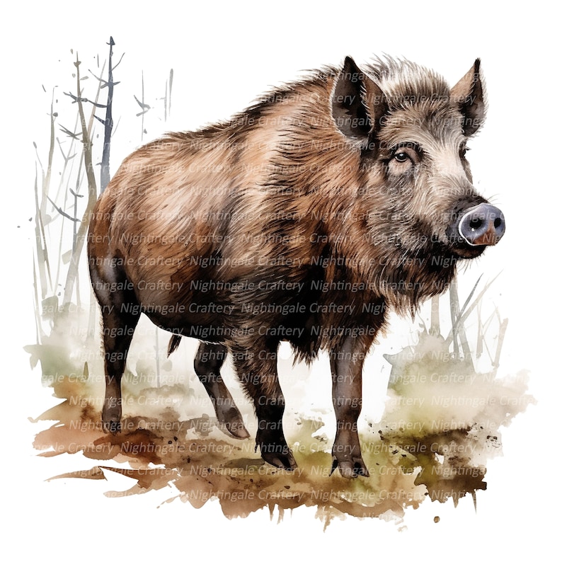 Wild Boar in Forest Clipart Printable Watercolor Clipart 10 - Etsy