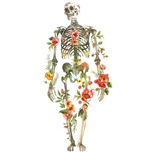 12 Floral Human Skeleton Clipart, Floral Skeleton, Printable Watercolor ...