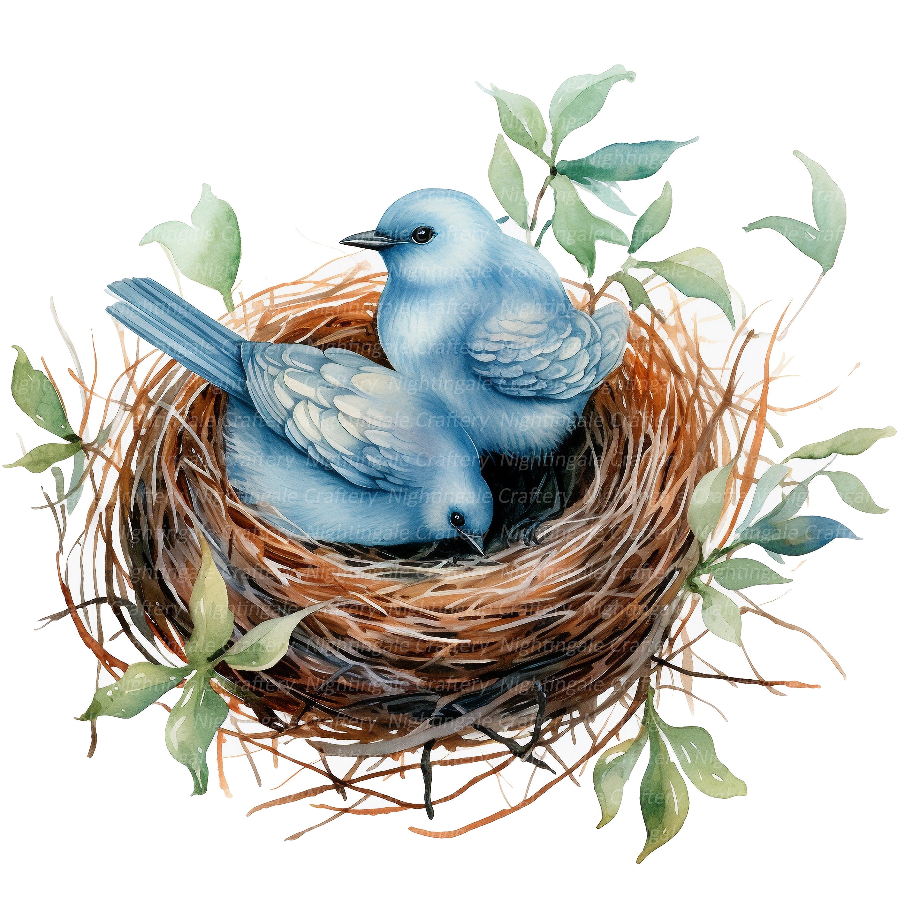 Nest Clip Art