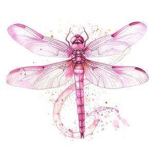 8 Pink Dragonfly Clipart, Printable Watercolor Clipart, High Quality ...