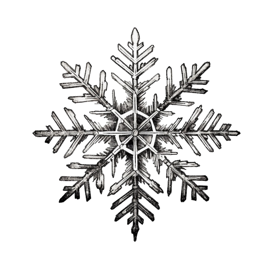 14 Black White Snowflakes Clipart, Christmas Print, Printable ...