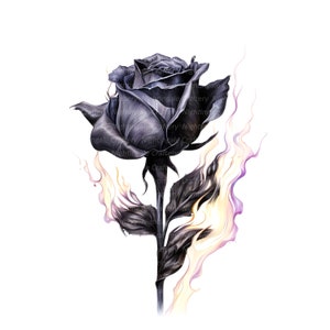 10 Black Rose Clipart, Rose in Flames Clipart, Printable Watercolor ...