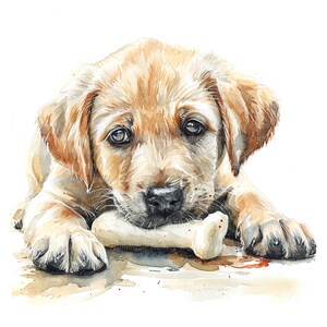 12 Puppy With Bone Clipart, Various Puppies, Printable Watercolor ...
