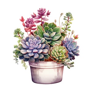 12 Potted Succulents Clipart, Succulent Pot, Printable Watercolor ...
