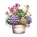12 Potted Succulents Clipart, Succulent Pot, Printable Watercolor ...