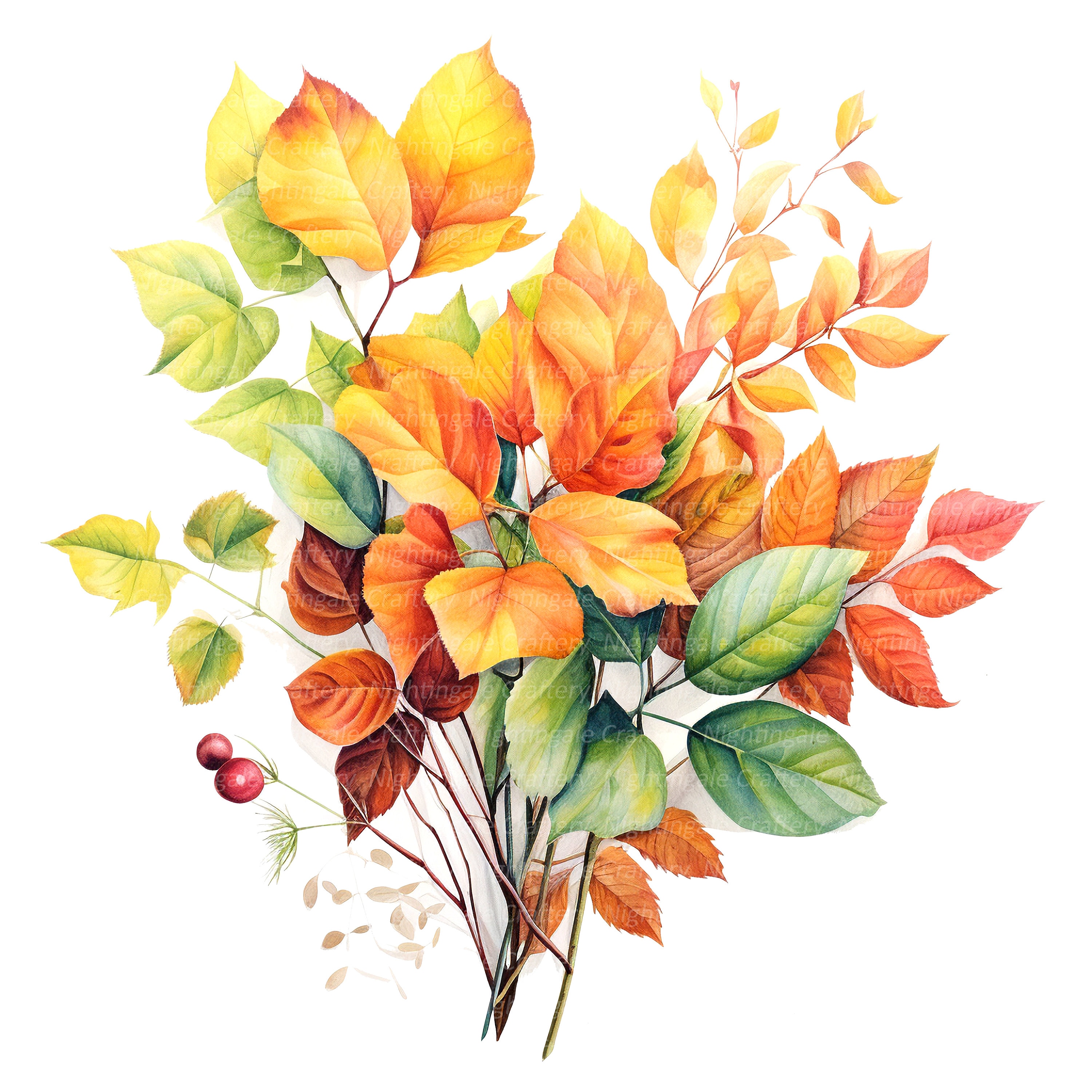 12 Autumn Leaves Bouquet Clipart Fall Leaves Printable - Etsy
