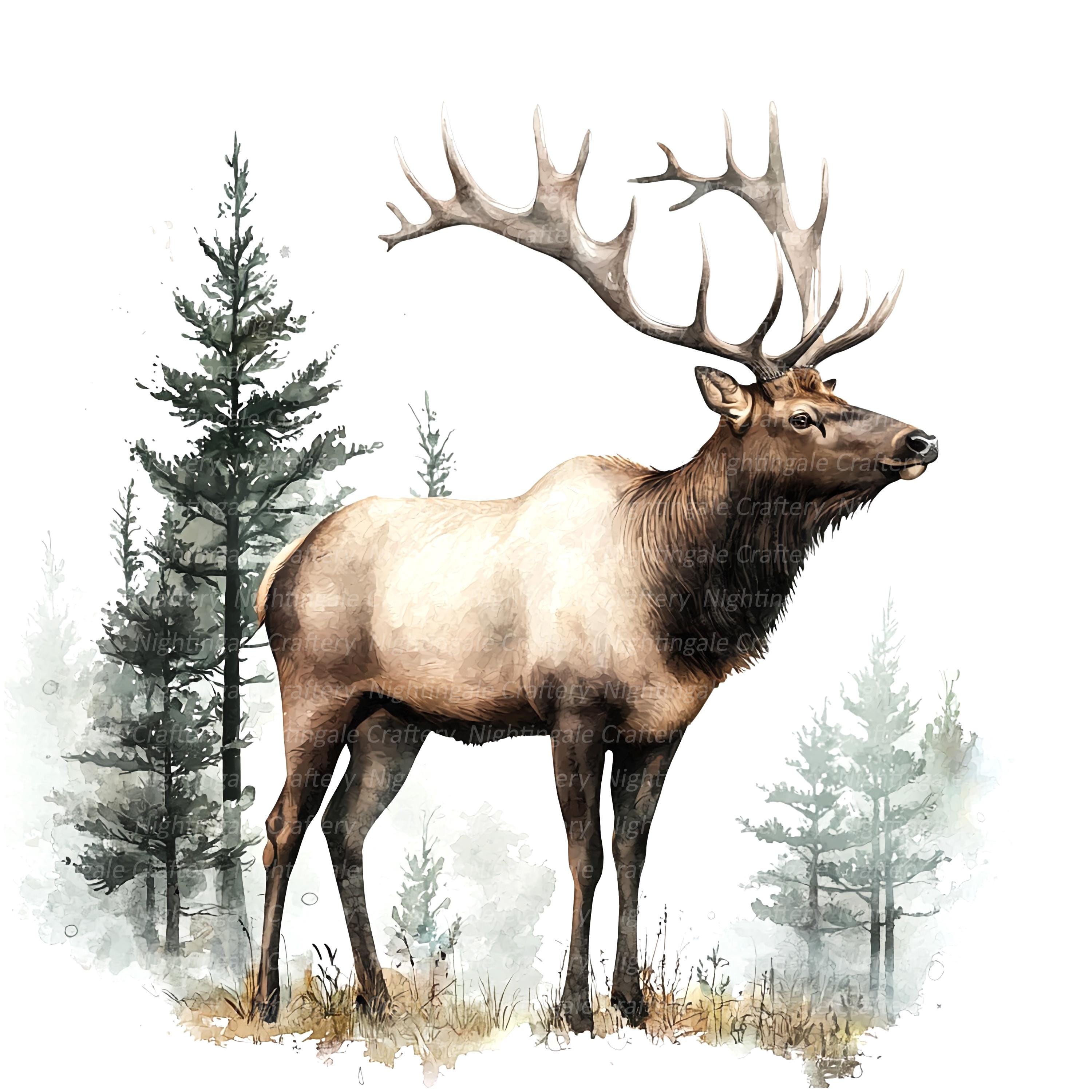 8 Bull Elk Wall Art, Deer Print, Printable Watercolor Clipart, High ...
