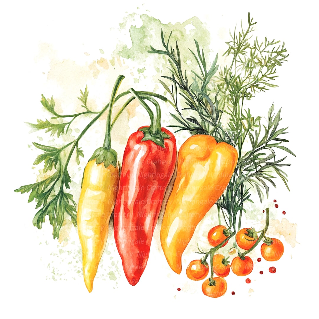 11 Paprika Clipart, Kitchen Clipart, Pepper, Printable Watercolor ...