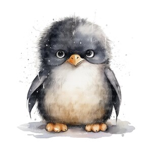 10 Grumpy Penguin Clipart, Cute Penguin Clipart, Digital Clipart ...