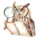 10 Owl With Magnifying Glass Clipart, Digital Clipart, Watercolor ...