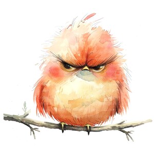 16 Grumpy Bird on Branch Clipart, Digital Clipart, Watercolor Clipart ...