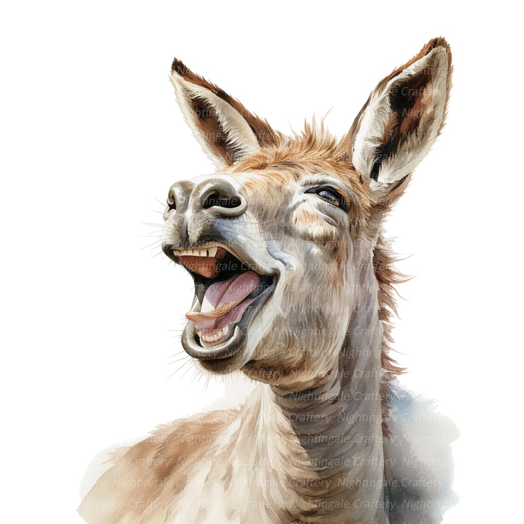 12 Funny Donkey Clipart, Donkey Laugh Clipart, Printable Watercolor ...