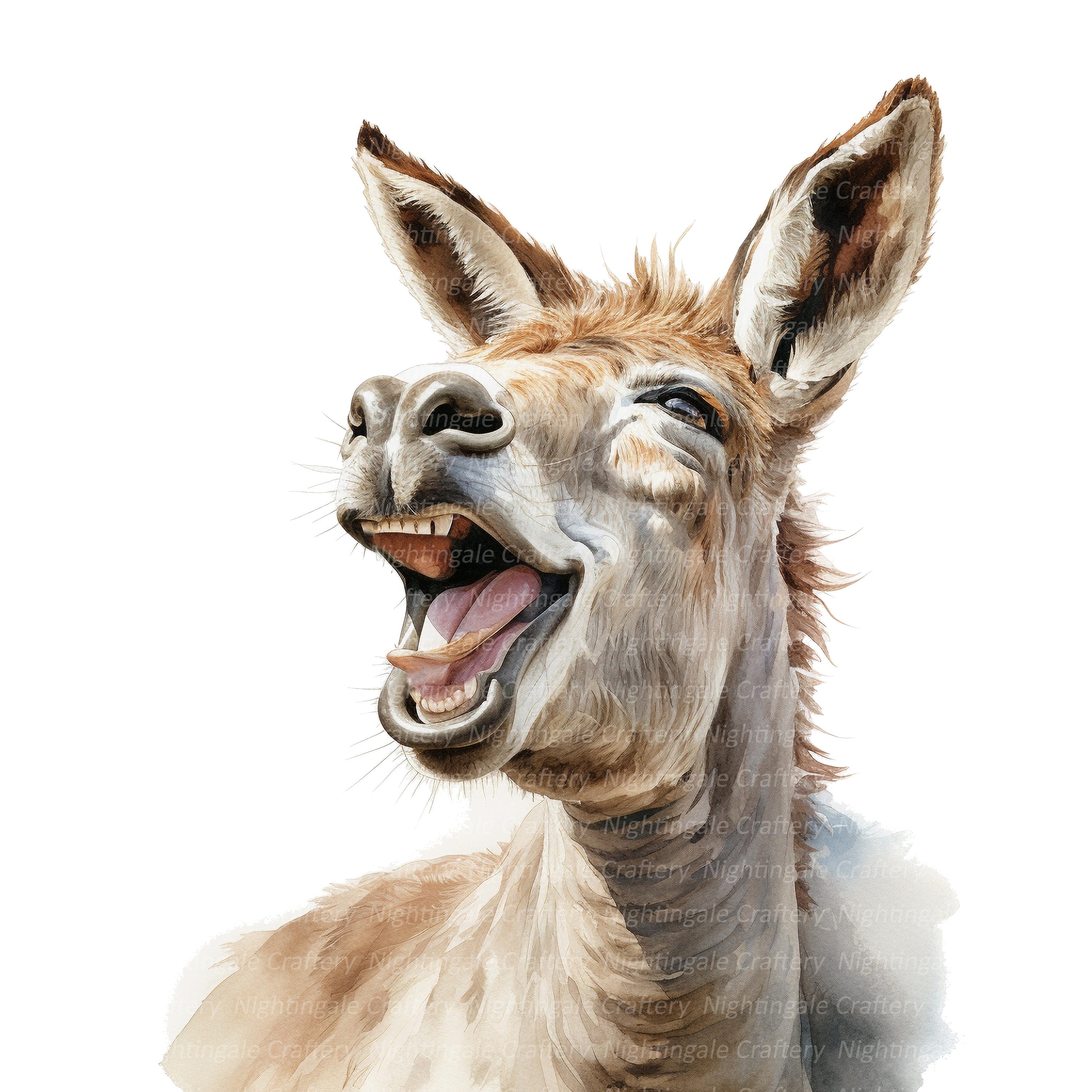 Lachender Esel Gif 0027.gif (240×320)