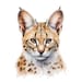 10 Cats Predators Clipart, Hyperrealistic, Printable Watercolor Clipart ...