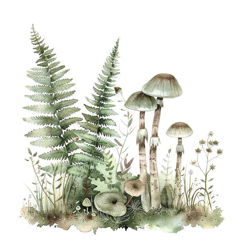10 Botanical Ferns Clipart, Fern Moss Decor, Printable Watercolor ...